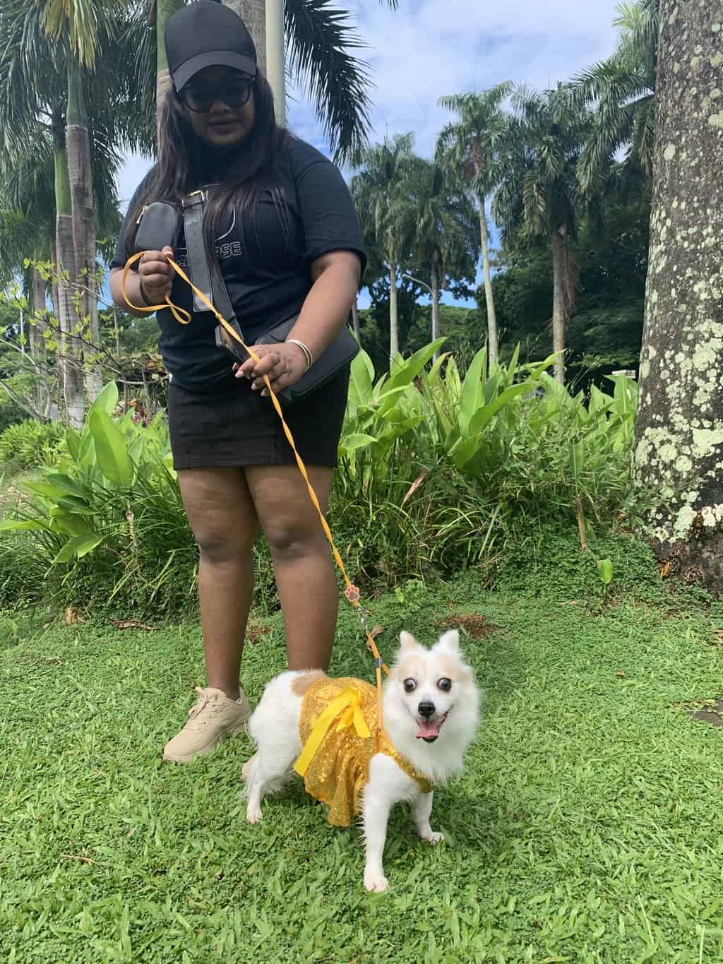 Suva has gone to the dogs - Fiji Traveller